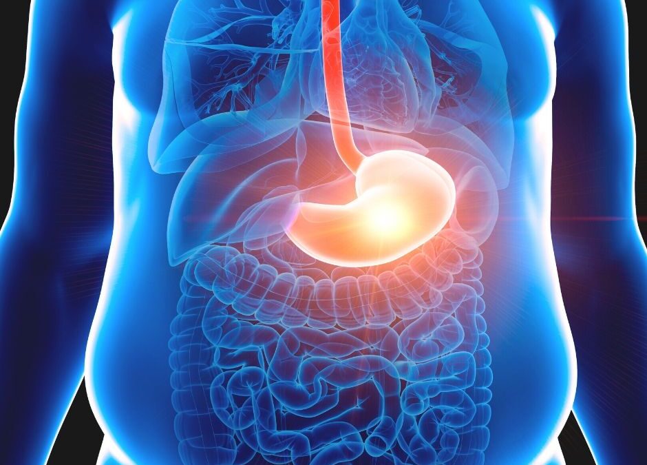 Gastrite Nodular E Câncer - BRAINCP